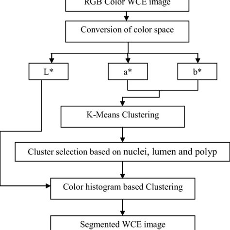 Wce Image And Colon Tumor Classification Download Scientific Diagram