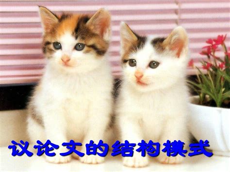 议论文的结构模式word文档在线阅读与下载无忧文档