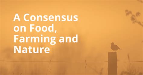 A Consensus On Food Farming And Nature Food Farming And Countryside
