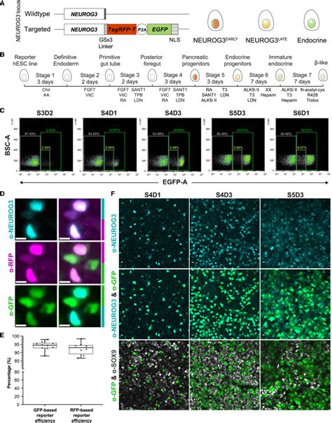 Integrating single-cell imaging and RNA sequencing datasets links ...