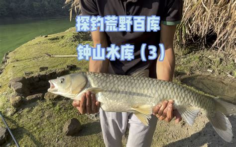 中秋有鱼吃了！祝各位大哥中秋国庆双快乐，假期出钓必爆护，大鲫大鲤！ 小宋野钓 小宋野钓 哔哩哔哩视频