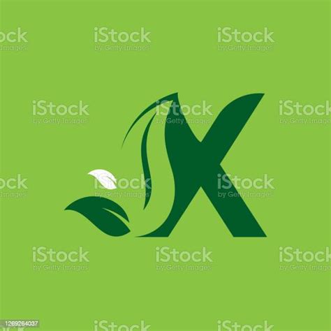 레터 X 그린 리프 로고 디자인 요소 레터 X 잎 초기 로고 템플릿 개념에 대한 스톡 벡터 아트 및 기타 이미지 개념 개념과 주제 금융 Istock