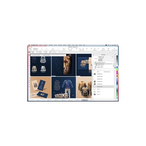 Corel Coreldraw Graphics Suite 2021 Polskieng Application Software