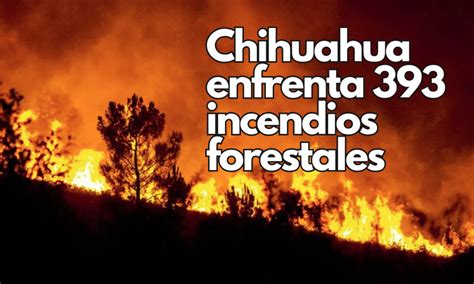 Chihuahua Enfrenta 393 Incendios Forestales Chihuahua Noticias