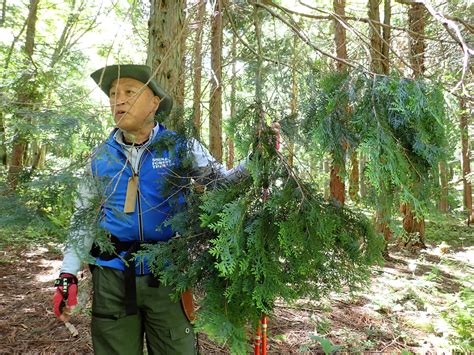 第74回全国植樹祭岡山2024 Home