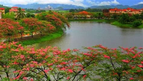 Discover About Assam State Culture Food Key Stats Joonsquare India