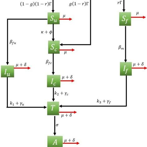Flow Diagram For The Mathematical Model The Model Is Governed By The