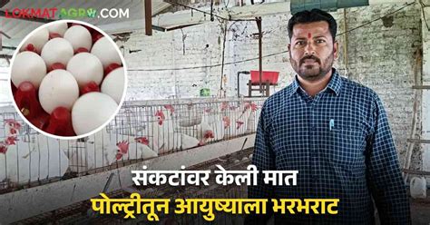 Poultry Success Story अंडी विक्री व्यवसायाला पोल्ट्रीची साथ