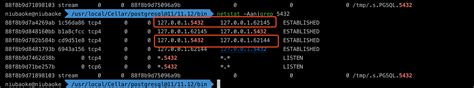 Could We Support To Start Two Dbeaver On The Same Server · Issue