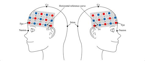 Figure E Spatial Profiles Of Functional Near Infrared Spectroscopy
