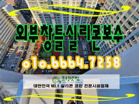 실리콘코킹대전실리콘잘하는업체아파트실리콘보수대전코킹충남코킹대전세종코킹청주코킹욕실주방실리콘외벽크랙보수건물누수우레탄