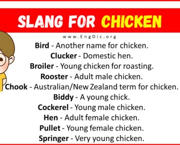 20 Slang For Loser Their Uses And Meanings Engdic