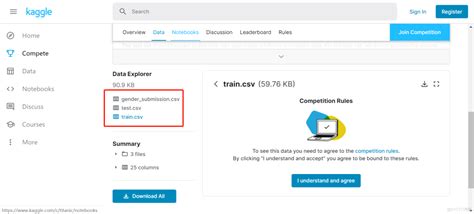 Python采集泰坦尼克号基于不同维度的生存率数据如性别、年龄、客舱等级 泰坦尼克号 数据挖掘mob6454cc627440的技术博客51cto博客