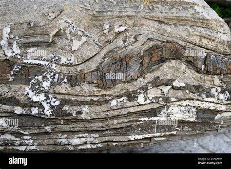 Flint Layers And Nodules In Limestone This Photo Was Taken In Saint