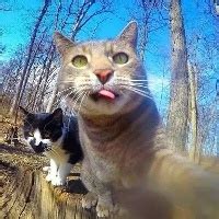 已解决 java lang Exception No runnable methods 异常 腾讯云开发者社区 腾讯云