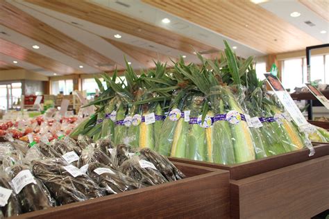 道の駅 まくらがの里こが こがナビ｜古河市観光協会