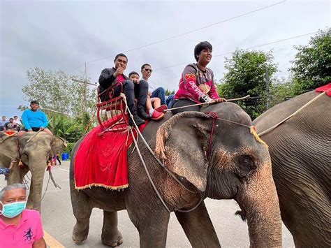ข่าว Like สาระ ตรังจัดยิ่งใหญ่ แห่ช้าง 9 เชือก งานทอดกฐินสามัคคี