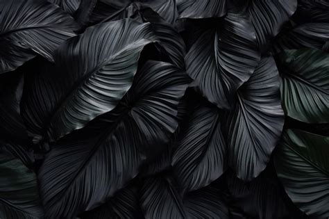 Premium AI Image Abstract Black Leaves Texture For Tropical Leaf Background AI Generated