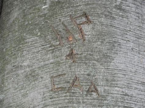 The Initials In The Tree Stylish Life For Moms