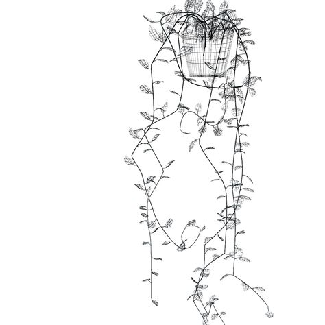 Scindapsus Aureus 1 High 3d Model 6 Unknown Fbx Obj Max Free3d