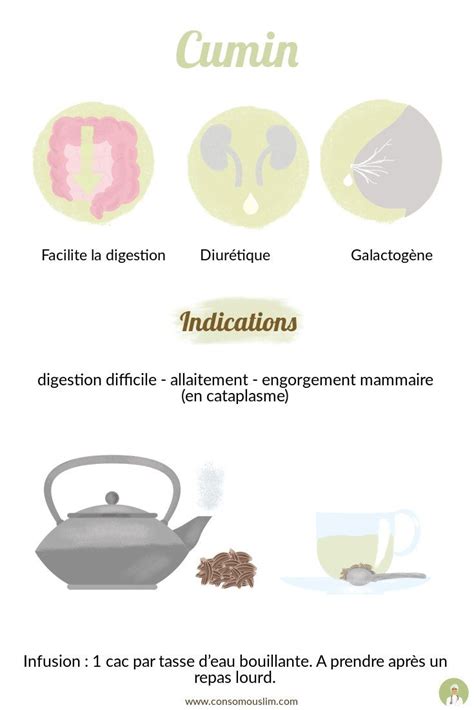 Le Cumin Bienfaits Et Utilisations Artofit