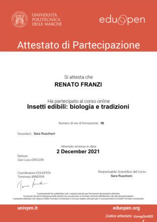Insetti Edibili Biologia E Tradizioni Mooc Renato Franzi Il Blog