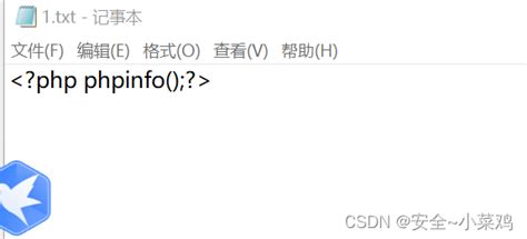 Php伪协议 文件包含（一）文件包含伪协议 Txt文件 Csdn博客