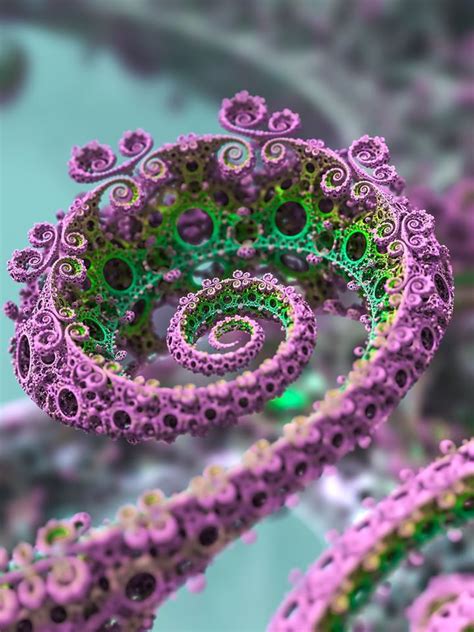 The Best Microscope Photos Of The Year Reveal A Strange And Hidden Universe In Astonishing