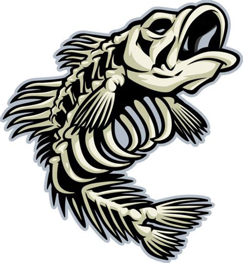 Cartoon Of Large Mouth Bass Jumping Illustrations Royalty Free Vector