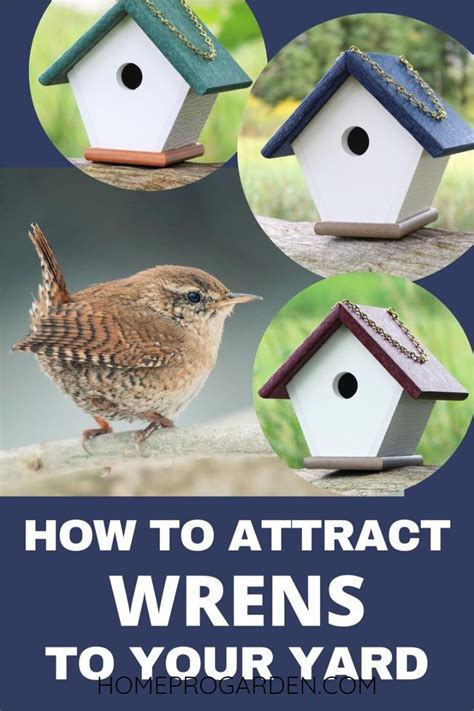 Four Different Types Of Bird Houses With Text Overlay Reading How To