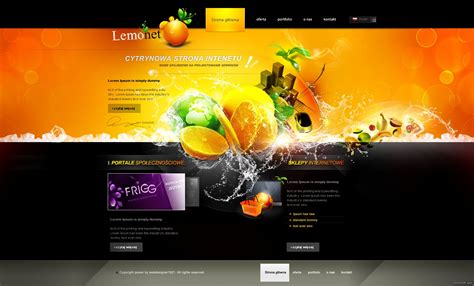 PS运用较多的webdesigner1921网页设计作品 17P B