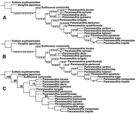 Two Most Parsimonious Trees L 78 CI 0 60 RI 0 75 Obtained