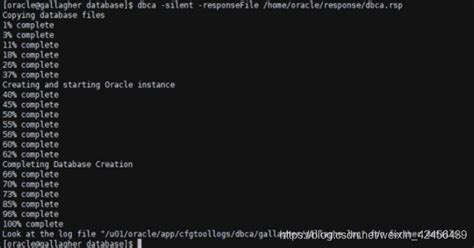 Oracle11g静默安装及实例安装oracle静默安装指定字符集 Csdn博客