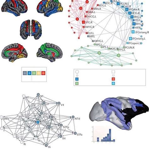 Graphical Representation Of Graph Download Scientific Diagram