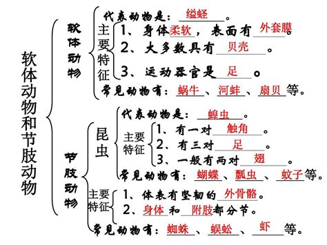 第四节 鱼word文档在线阅读与下载免费文档