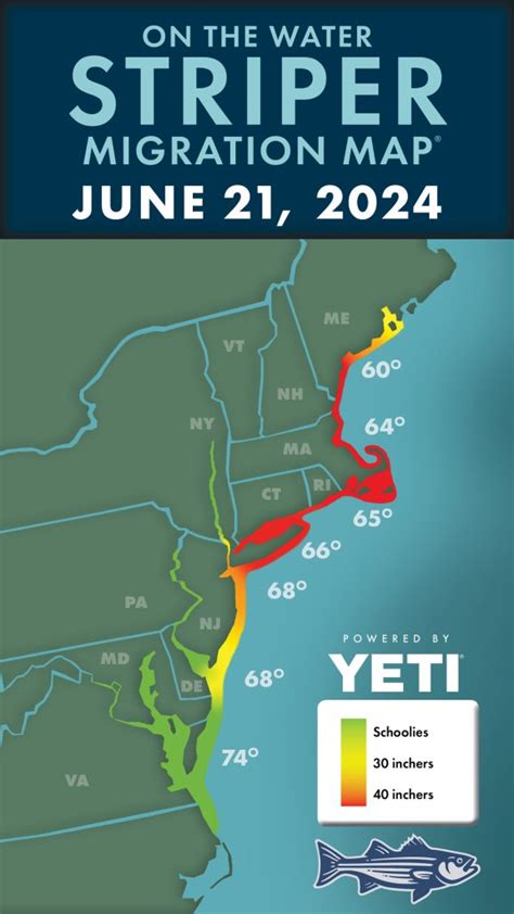Striper Migration Map June 21 2024 On The Water