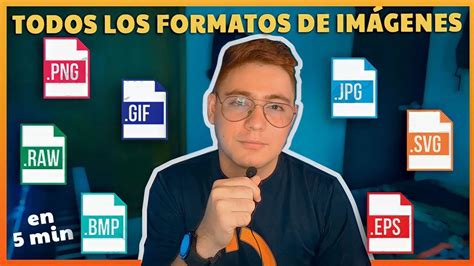 ¿cuáles Son Los Tipos De Formatos Vectoriales