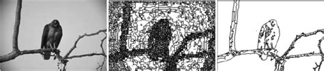The Gray Level Image Left The Standard Watershed Segmentation