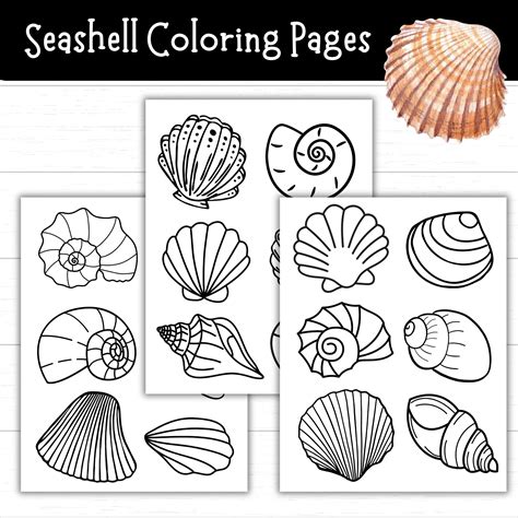 Shell Template Printable All Worksheets