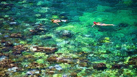 Koh Tao Snorkelling — Koh Tao A Complete Guide