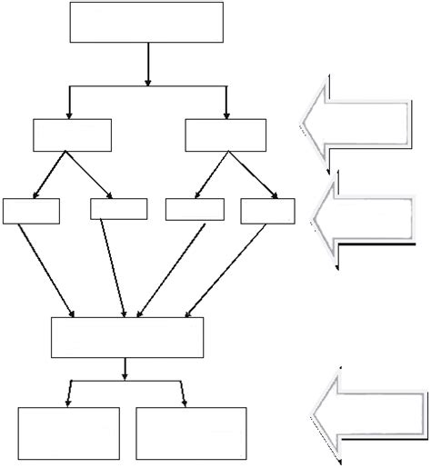 Schematic Presentation Of The Sampling Design Download Scientific Diagram