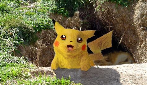Realistic Pikachu By Ax3lkami On Deviantart