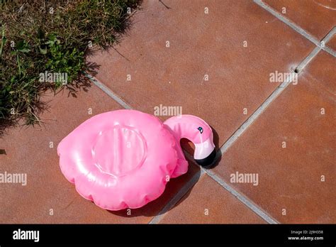 Small Pink Flamingo Float Deflated On The Edge Of A Swimming Pool Stock