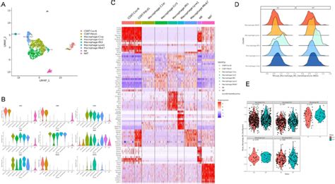 Apoe Deficiency Decreased C Qc And Ccr Macrophages In Crc Based On