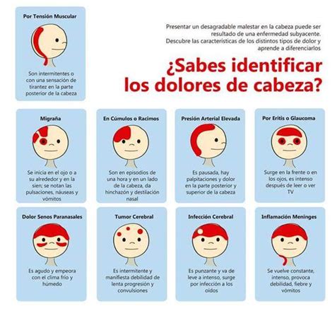 Estos son los tipos de dolores de cabeza más comunes sus causas y Hot Sex Picture
