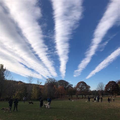 Radiatus Cloud Appreciation Society
