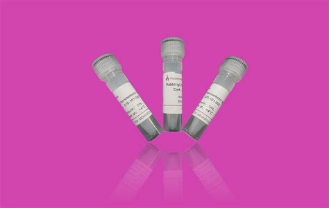 Rabbit Igg Nanoselector Agarose Alpvhhs