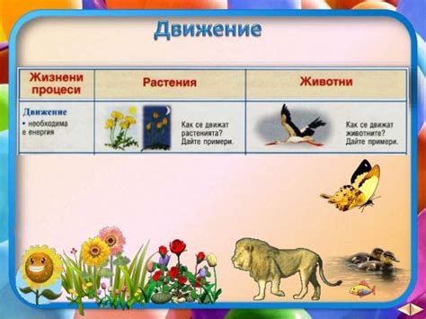 27 Жизнени процеси при растенията и животните Обобщение ЧП 4 кла…