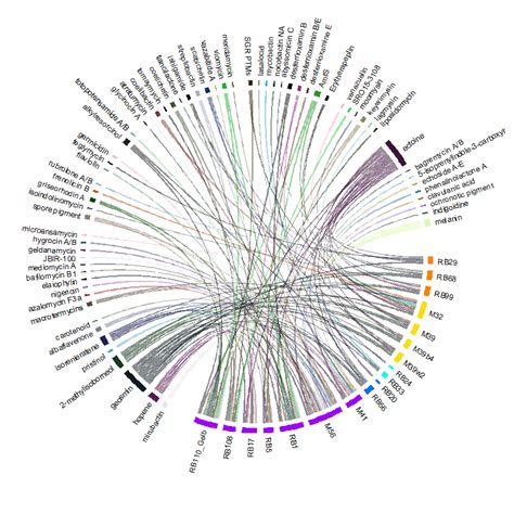 R Circlize Chorddiagram Producing Poor Image Quallity · Issue 177