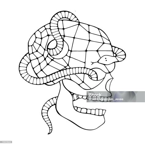 Vetores De Vector A Ilustração Desenhada Mão Preto E Branco Crânio Com